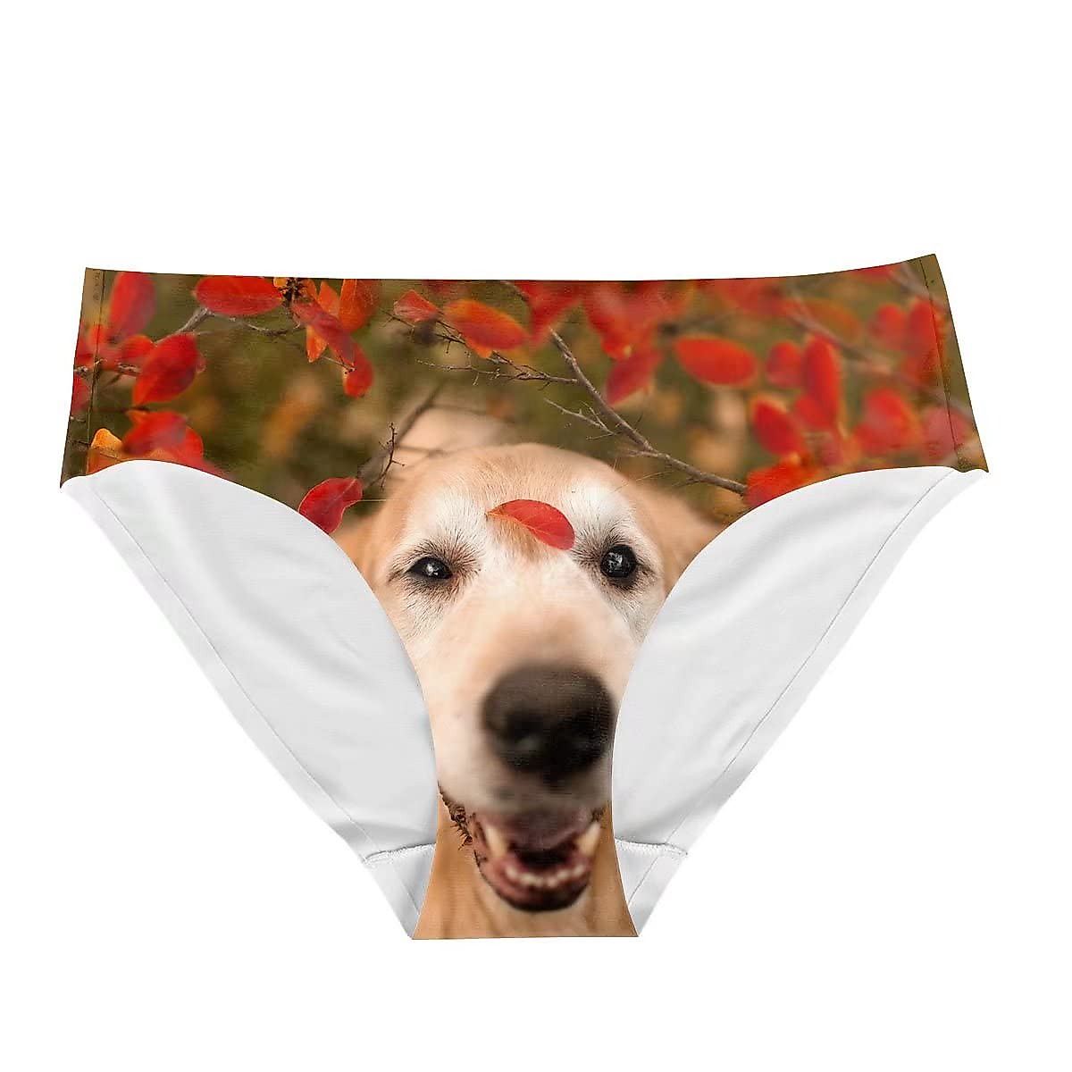 Cumagical Golden Retriever Women's Sexy Underwear Animal Retro Pattern Fashion Bikini Briefs