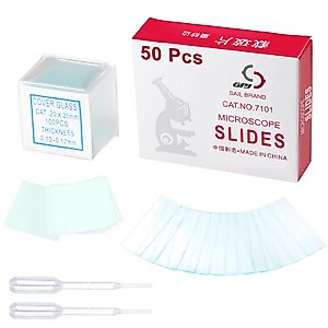 Microscope Slides Clear Glass 50 Pcs Pre-Cleaned Blank Microscope Slides Ground Edges 1" x 3" with 100pcs Pre-Cleaned 20mm x 20mm Microscope Cover Slips Glasses for Basic Biological Science Education