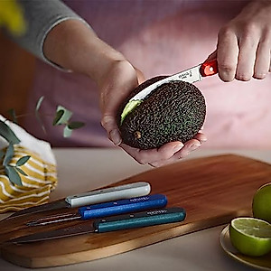 Opinel Les Essentials Small Kitchen 4 Piece Knife Set - Paring Knife, Serrated Knife, Peeler, Vegetable Knife, Corrosion Resistant High Carbon Steel, Made in France (Art Deco)