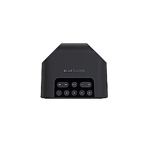 Bluesound Pulse Flex 2i Portable Wireless Multi-Room Smart Speaker with Bluetooth - Black - Compatible with Alexa and Siri