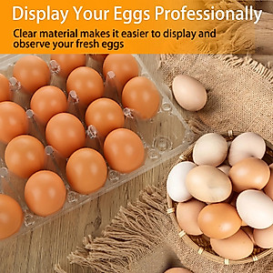 Oungy 36 PCS Plastic Egg Cartons Cheap Bulk 24 Count Clear Blank Egg Cartons with Free Labels Holds up to 24 Eggs Securely Reusable Egg Carton for Family Pasture Chicken Farm Market Display, 4x6 Grids