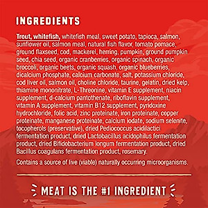 Stella & Chewy's Wild Red Dry Dog Food Raw Coated High Protein Grain & Legume Free Ocean Recipe, 3.5 lb. Bag