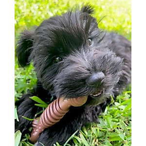 Nylabone Power Chew Textured Bone Chew Toy, Dog Toys for Aggressive Chewers, Flavor Medley, Medium/Wolf (1 Count)