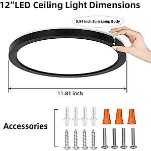 hykolity 2 Pack 12 Inch Selectable CCT LED Round Flat Panel Light, 24W, 3000K/4000K/5000K, Edge-Lit Flush Mount Ceiling Light Fixture for Kitchen, Bedroom and Closet Room, Black