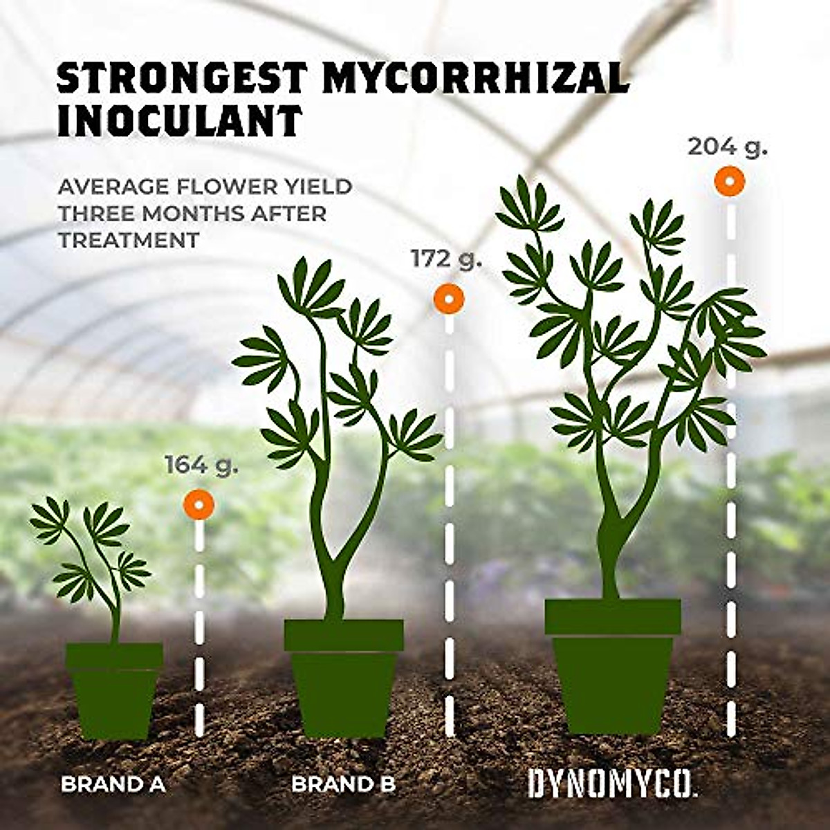 DYNOMYCO Premium Mycorrhizal Inoculant - Root Enhancer/Stimulator - Mycorrhizae for Plants - Concentrated Mycorrhizal Inoculant - Supreme myco strains - Treats up to 68 Plants! (340 g / 12 Oz)