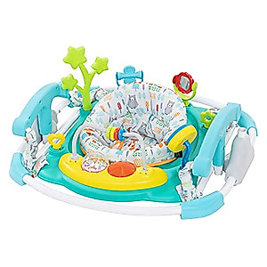 Smart Steps Bounce and Play Jumper,