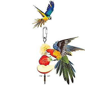 Parrot Fruit Holder, Stainless Steel Bird & Small Animals Stainless Steel Fruit Vegetable Holder Foraging Toy Bird Treat Skewer(#2)