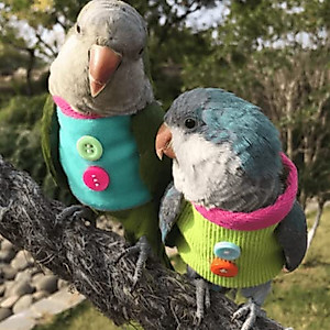 Barn Eleven Parrot Bird Supplies, Light Flying Clothes, Suitable for All Seasons Warm and Comfortable for Small Medium Large Bird Green Cheek Parrot Mynah Senegal Parrot Mini Macaw (Small,Green)