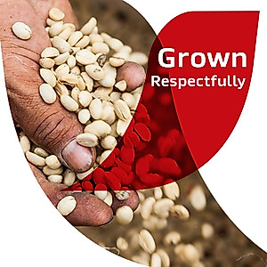 NESCAFE CLASICO, Dark Roast Instant Coffee, 12 boxes (84 packets)