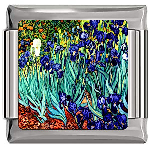 Irises Van Gogh Painting Italian Charm