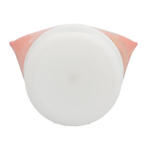 Weleda Sport Arnica Shower Gel, 6.8 Fluid Ounce, Plant Rich Cleanser with Arnica, Rosemary and Lavender