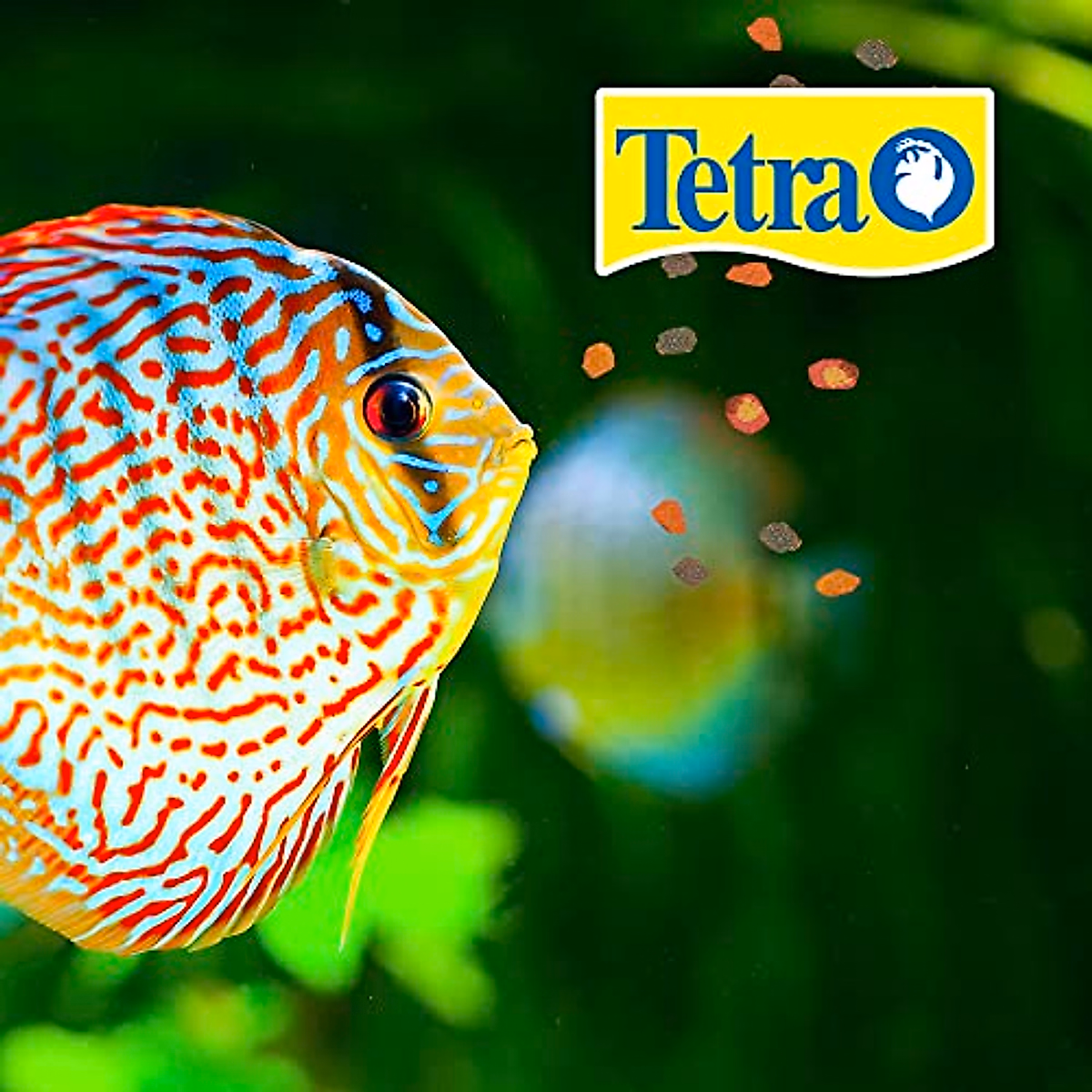 Tetra Pro Fish Food, Tropical Color Crisps With Color Enhancers, Floating Fish Food, 7.41 Ounce