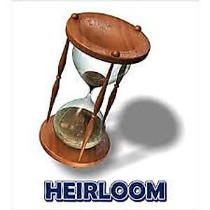 David's Garden Seeds Herb Echinacea Purpurea FBA-00023 (Purple) 200 Non-GMO, Heirloom Seeds