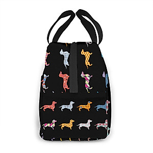 Groamaup Insulated Lunch Bag Black Cartoon Dachshund Puppy Dog Reusable Cooler Tote Lunch Bags For Office Travel