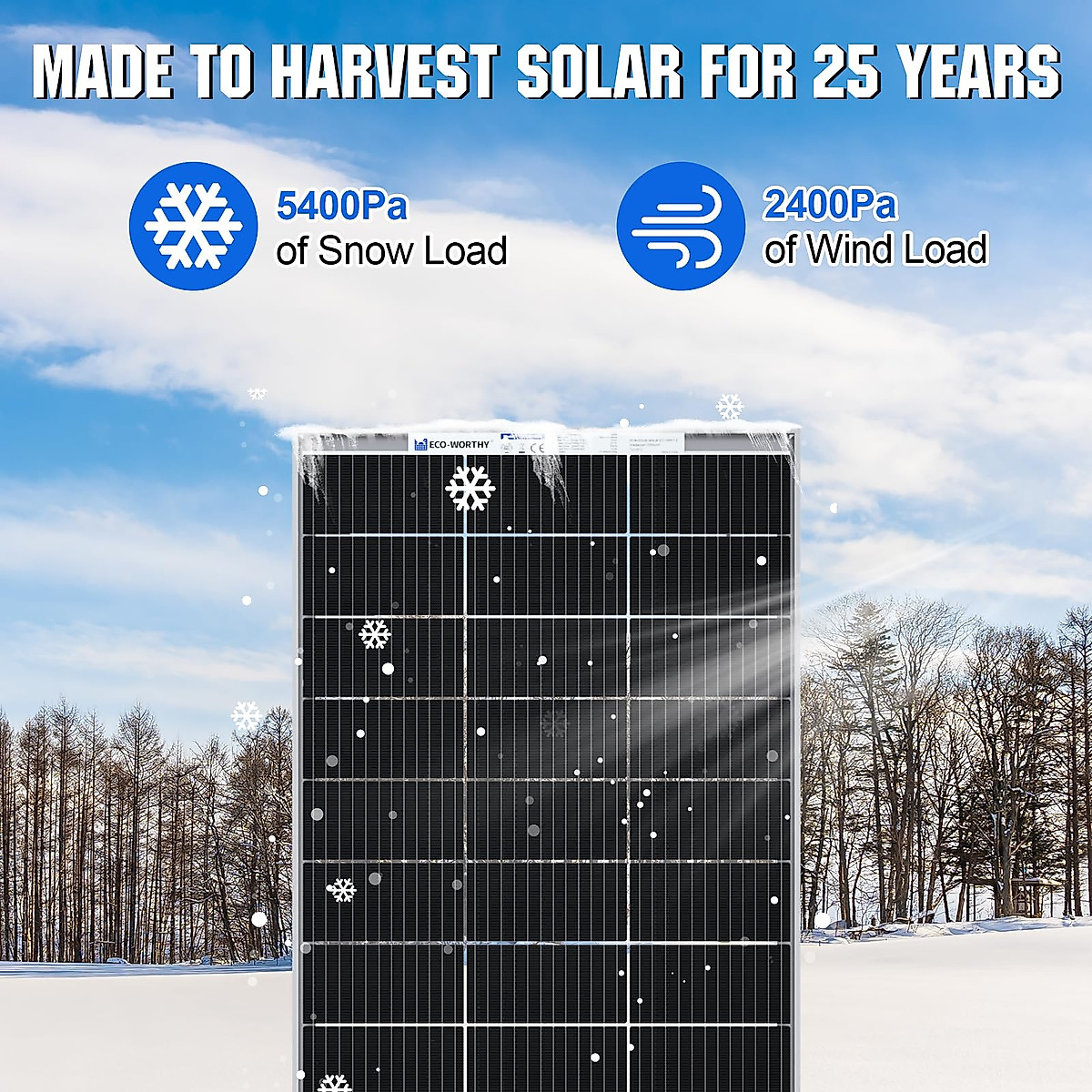 ECO-WORTHY Bifacial 195 Watt 12 Volt 12BB Solar Panel Monocrystalline Double-Sided Power Generation Rigid High-Efficiency PV Module Power Charger for RV,Sunsheds,Canopies,Farms,Home and Off-Grid