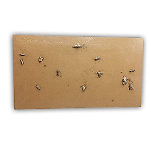 ShengKou Dual Pheromone Moth Traps Refill for Clothes Moths and Pantry Moths - Pink (Pack of 6)