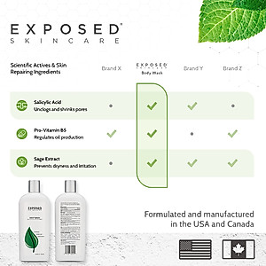 Exposed Skin Care Body Wash - Back and Body Acne Wash with Salicylic Acid and Tea Tree Oil – Exfoliating Bacne Treatment for Clearer, Healthier Skin – Body Cleanser for All Skin Types (12 fl oz)