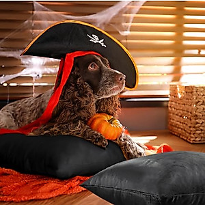 Deconovo Decorative Velvet Throw Pillow Covers for Couch 22x22 in Set of 2, Soft Square Black Cushion Cases for Sofa Living Room Bedroom Home Decor