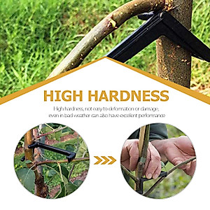 Angoily 10pcs Branch Press Fruit Branch or Bonsai