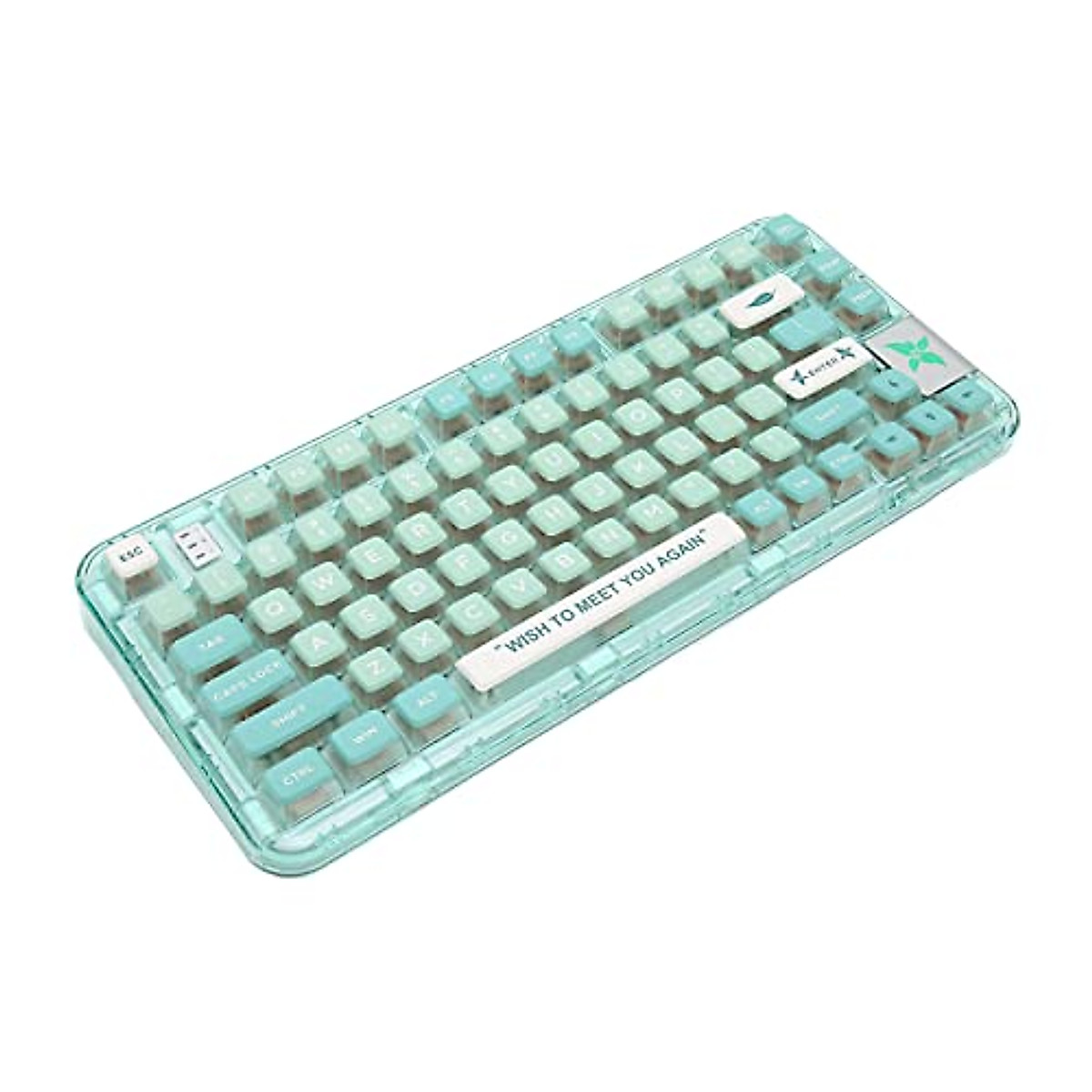 Acogedor Bluetooth / 2.4Ghz Wireless/Type - C Wired Mechanical Gaming Keyboard, RGB Hot - Swappable, Gasket Structure, 80 Keys, Transparent Case, 2 Layers Keycaps (Green)