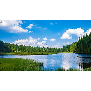 Newest Family Holiday Gaming for GP Bundle