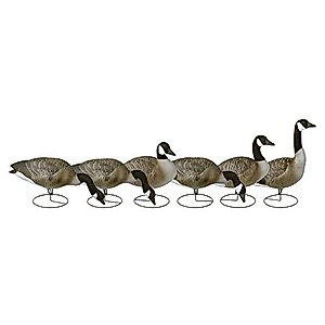 Flambeau Outdoors 8990FBU Storm Front 2 Canada Goose Decoys, Full Body Flocked Heads - 6-Pack