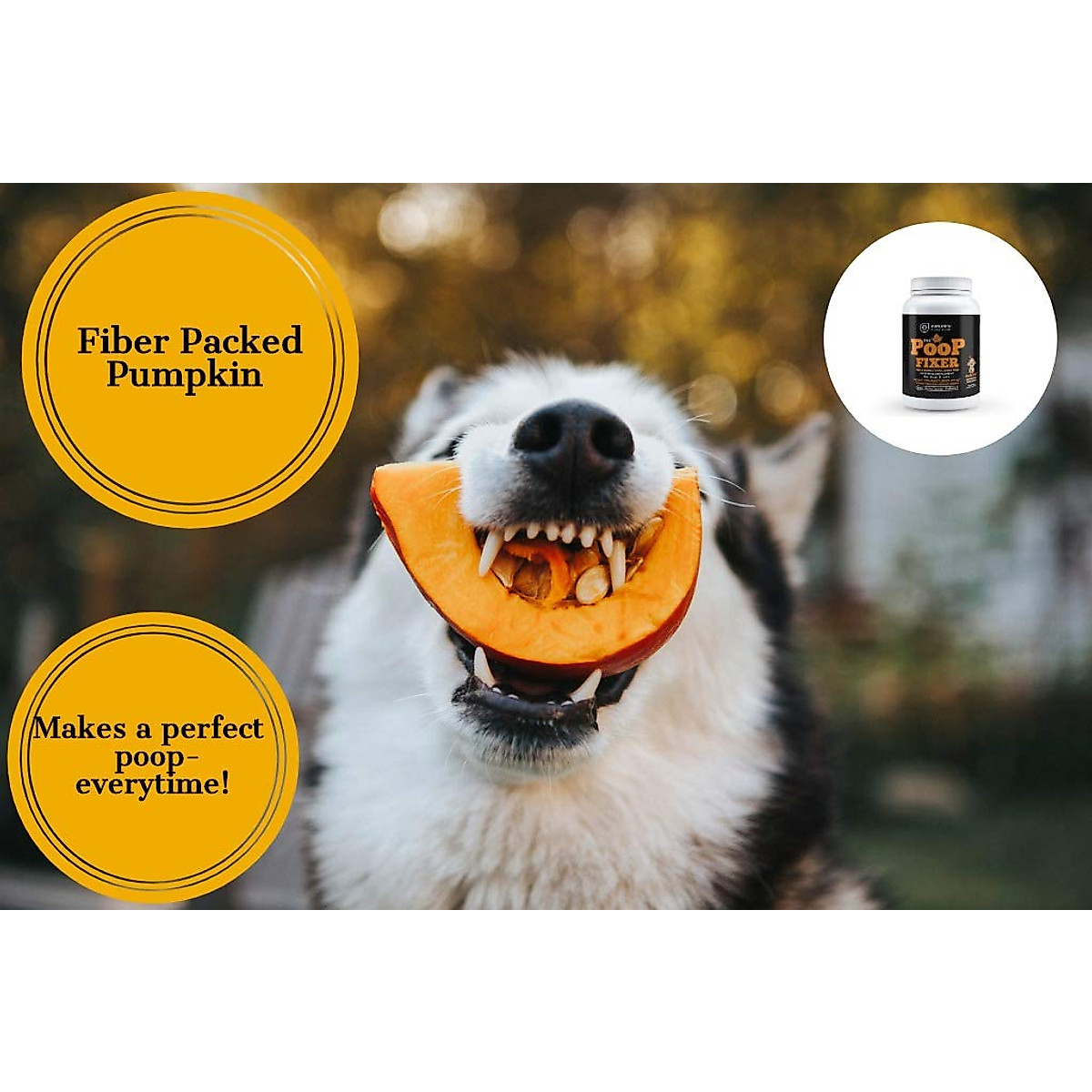 Poop Fixer Digestion Aid for Dogs. Fiber, Prebiotic & Active Enzymes to Relieve Gas and Other Digestive Issues and Optimize Stool. 13.4 OZ Powder