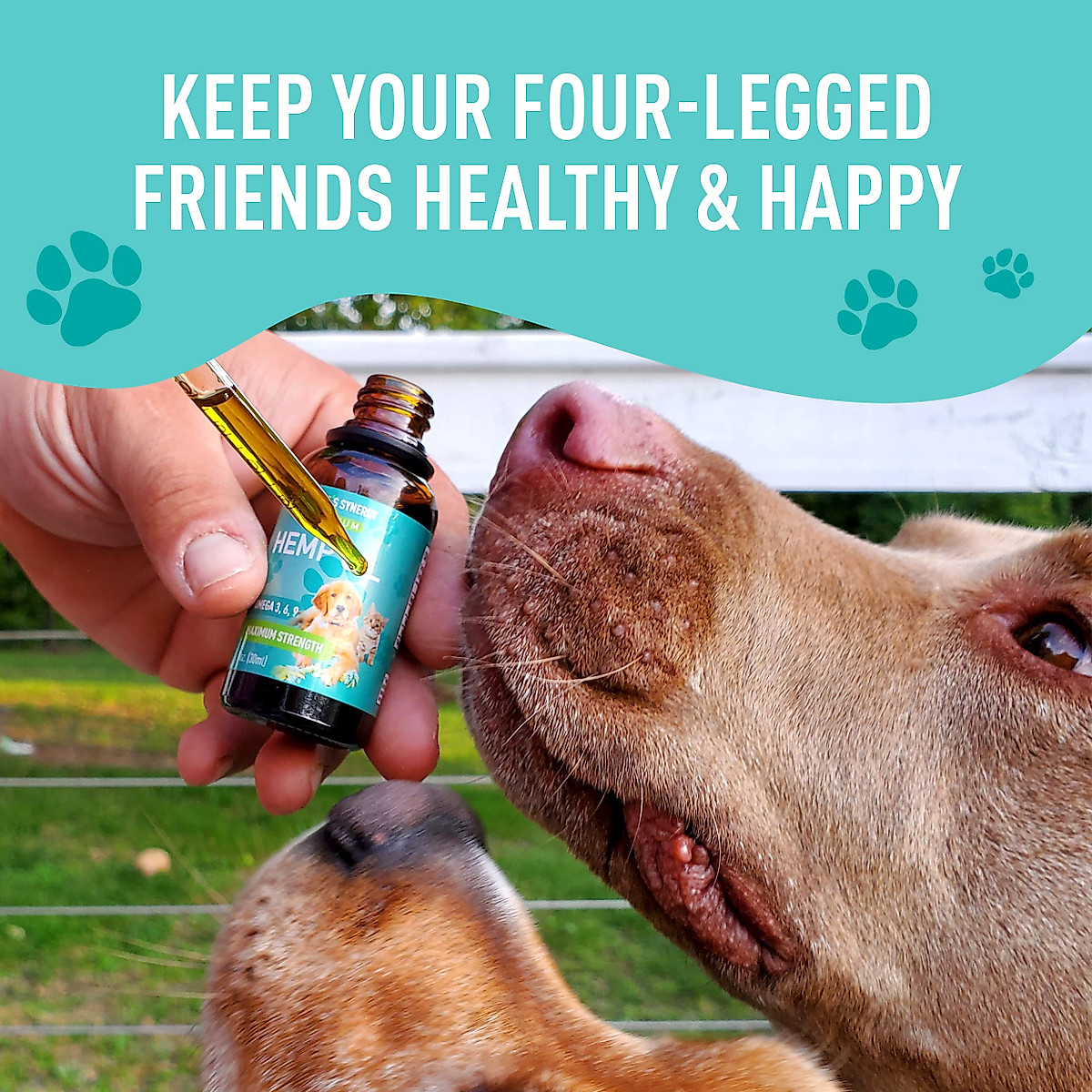 Nature's Synergy Hemp Oil for Dogs, Cats & Pets, Omega 3 6 9 Fatty Acids for Hip and Joint Support, Skin and Coat Health, Calming Dog Supplement to Support Stress from Travel, Separation, 1 Oz Bottle