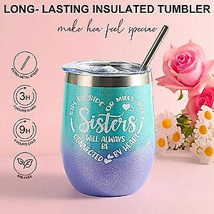 BuiltFit Sister Gifts Sisters Birthday Gift Ideas from Sister - Sisters Birthday Gifts Box from Brother, Best Sister Ever Gifts, Unique Tumbler Christmas Gifts for Sister, Best Friend, BFF, Bestie