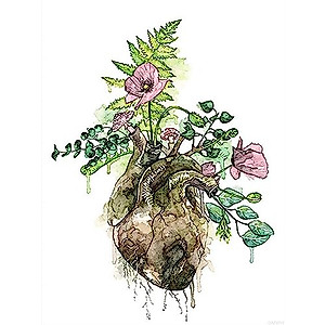 QAZWSX Diamond Painting Kits for Adults Kids, Heart Anatomy Art 5D DIY Diamond Embroidery Flower Cross Stitch Hand Mosaic Doctor Decor-30x40cm