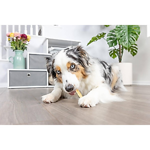 Natural Cravings: USA Turkey Tendons - 8 oz - Dog & Cat Chew, All Sized Pets, Light Chewers, Slow Roasted Single Ingredient Treat, Preservative Free