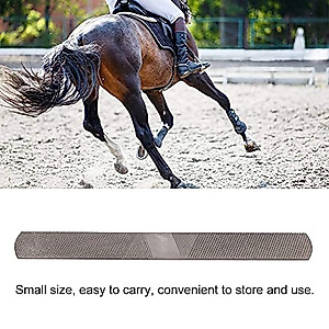 Hoof Trimming Knife, YOUTHINK Double Sided Hoof Rasp T12 Carbon Steel Farrier Rasp File Round Head Farrier Tools Horseshoe Trimming File The Repair of Horses/Donkeys of Hard Hooves