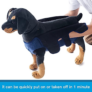 COODEO Dog Surgery Recovery Suit, Waterproof Recovery Suit for Dogs, Surgery Suit for Wounds Protect, Cone Alternative After Surgery, Dog Onesie for Surgery Female or Male (Blue, XS)