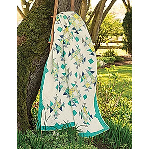 Snuggle Up!: 12 Cozy Nap and Lap Quilts (Moda All-stars)