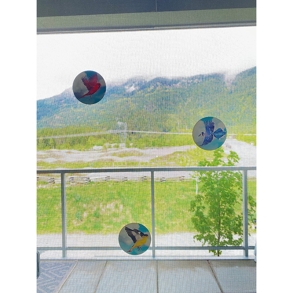 Retractable Screen Door Decals (Stickers) - 6 per Package - Keep Children Safe - Alert Birds, Dogs, Kids - Warn, Protect, Window Safety - Birds