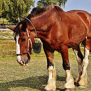 Super Large Metal Cowbell 8.5x9cm/3.35x3.54in, Grazing Bell for Cattle and Horse, Farm Animal Bell, Solid and Loud Noisemaker Cheering Bell for Sporting Events and Games (Bronze)