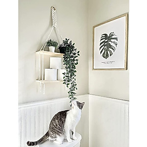 Afuly 11x14 Picture Frame & 2 Tier Macrame Shelf