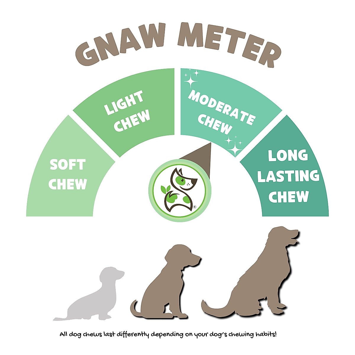 Nature Gnaws Beef Paddywack Tendons for Dogs 5-6" (10 Count) - Long Lasting for Aggressive Chewers - Natural Beef Dog Chew Bones - Rawhide Free