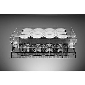Nest Scientific 712001 Polystyrene 12 Well Cell Culture Plate, Flat Bottom, Tissue Culture Treated, Sterile, Clear, 1 per Pack, 50 per Case (Pack of 50)