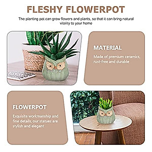 Happyyami Outdoor Decor Pots Ceramic Animal Owl Planter Novelty Flower Pots Small Desk Animal Statue Porcelain Plant Pot Bonsai Container for Home Office Tabletop Decorations Home Decor