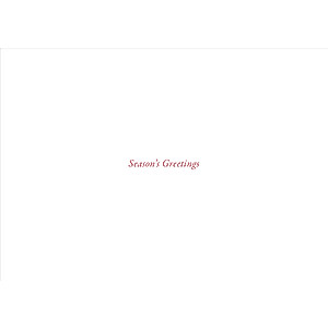 Merry Evergreens Deluxe Boxed Holiday Cards (20 Cards and 21 Envelopes) (English and Italian Edition)