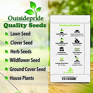 Outsidepride Astilbe Arendsii Bunter Garden Flower Plant Seed - 2000 Seeds