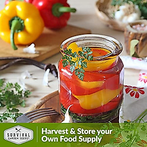 Survival Garden Seeds - Rainbow Bell Pepper Seed Mix for Planting - Packet with Instructions to Plant and Grow Delicious Sweet Peppers in Your Home Vegetable Garden - Non-GMO Heirloom Varieties