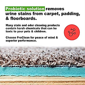 Urine Gone ProClean Stain and Odor Remover, Multi-Surface, Eliminates Tough Dog Cat People Stains, and Odor on Wood, Carpet, Vinyl, and Tile Floors, 20 Fl Oz