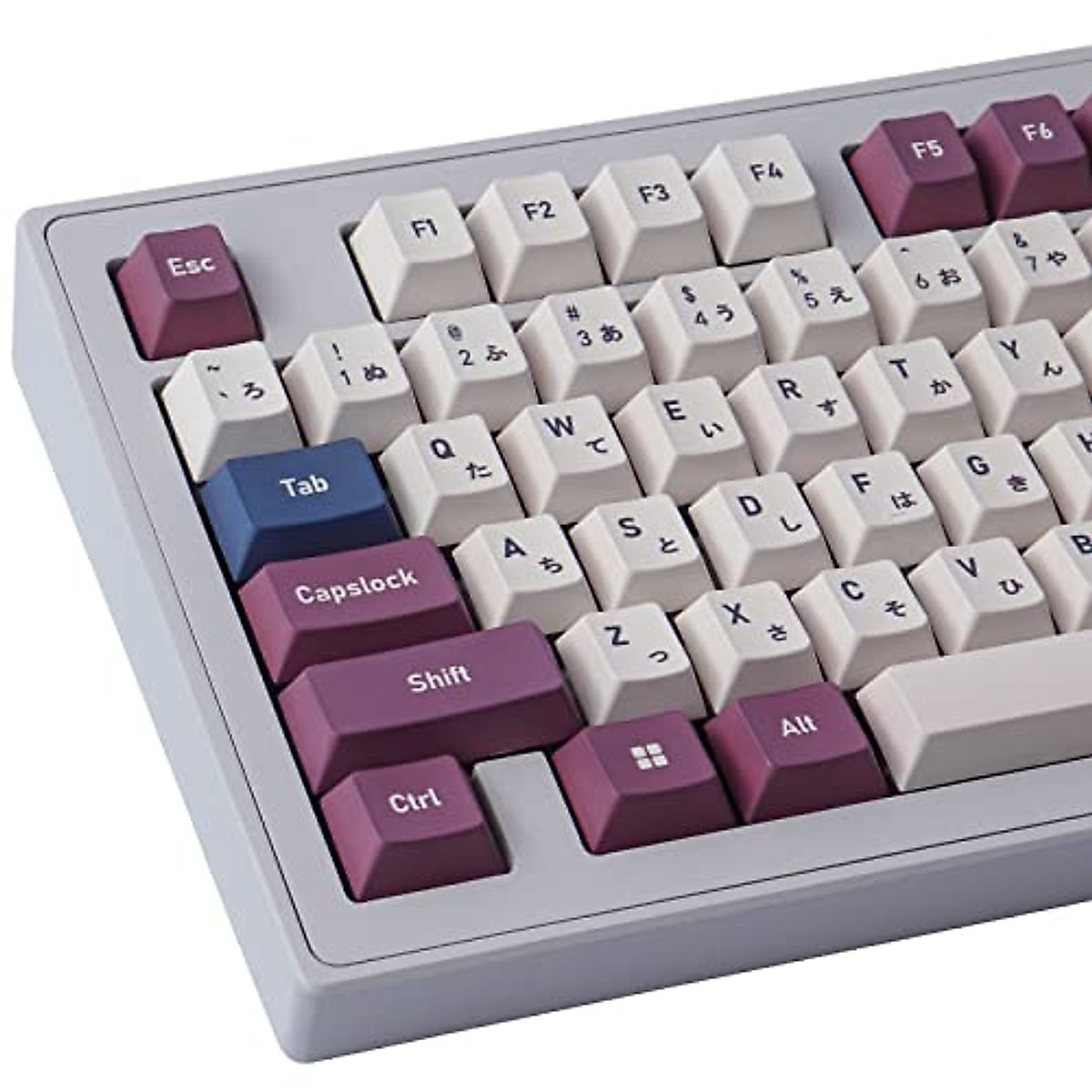 Tsungup PBT Keycaps, 145 Keys Cherry Profile Classic Game Console Keycaps Dye Sublimation with Japanese Keycaps 6.25U 7U Spacebar for Cherry MX Switches Mechanical Keyboards