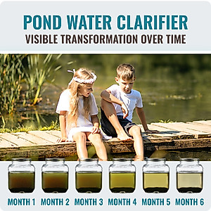 Pond Clear Water Treatment - 16 Pack for 8 Months of Pond Cleaner Supply - Pond Clarifier for Outdoor Ponds – 100% Natural Pond Bacteria Packets - Made in The USA - Safe for Fish, Pets, and Swimming