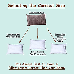 Pillowflex Synthetic Down Pillow Insert - 14x20 Down Alternative Pillow, Lumbar Pillow Insert for Sham - Back Pillow, Travel Size Pillow - Polyester Neck Pillow - 1 Decorative Pillow Form
