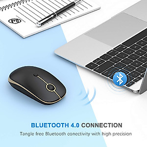 TechGarden Wireless Bluetooth Mouse, Dual Mode (Bluetooth 4.0 + USB) Silent Bluetooth Wireless Mouse with USB Nano Receiver, 3 DPI Levels for MacBook, Laptop, PC, Tablet - Black & Gold