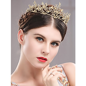 Yean Adult Tiaras and Crowns Gold Wedding Princess Queen Crown Baroque Vintage Rhinestone Tiara Hair Accessories for Women and Men (Gold)