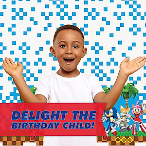 Unique Sonic Plates and Napkins for 16 | Sonic Birthday Party Decorations | Sonic Party Decorations | Officially Licensed